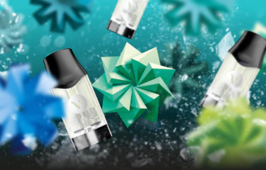 Buy Vuse Mint E-Liquid Flavours Pods | Vuse Canada